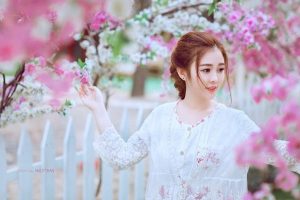 Ribi Sachi - Từ điển Wiki